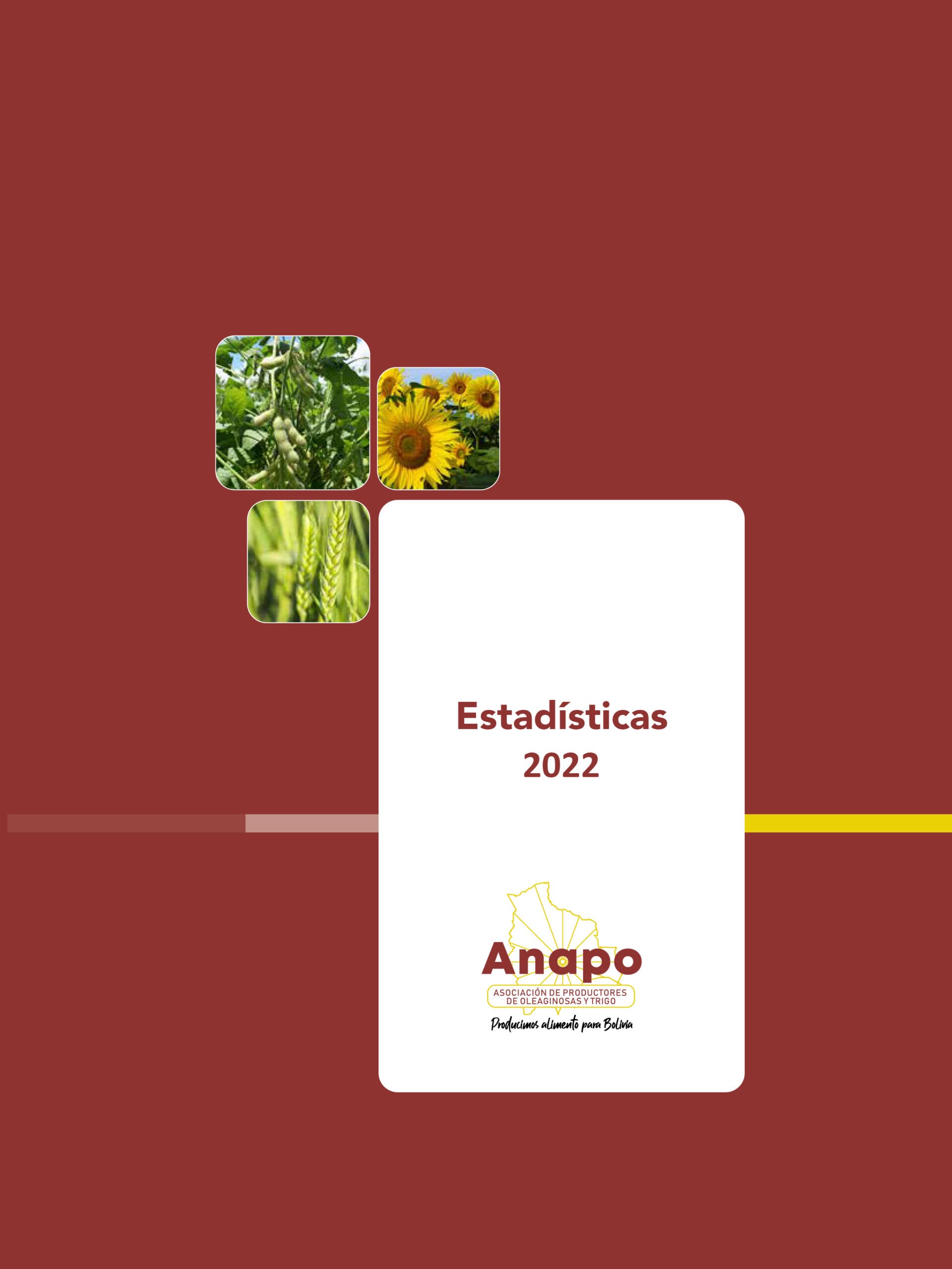 Estadísticas 2022 - Anapo Bolivia